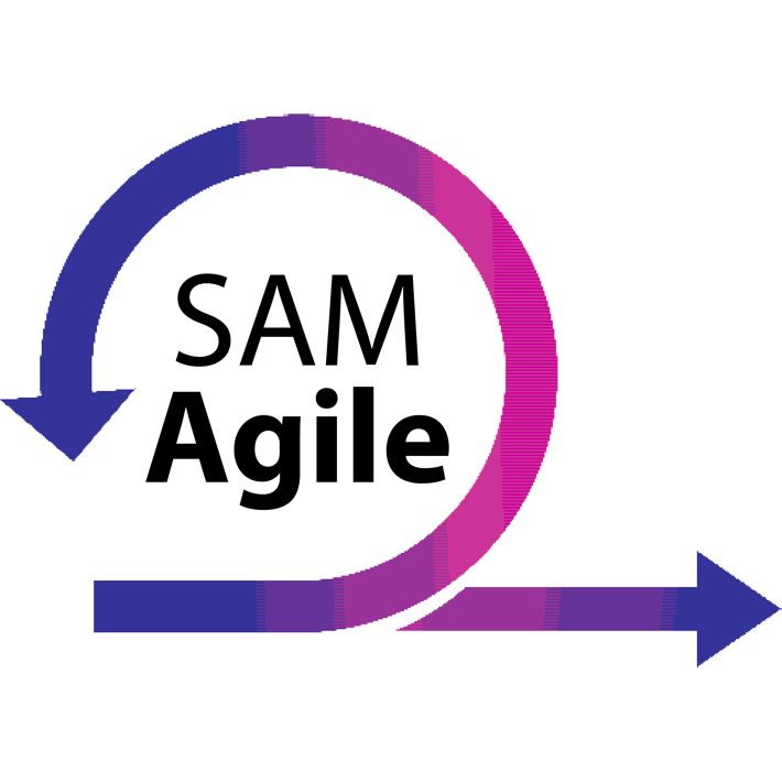 Software Asset Management (SAM) - License Dashboard